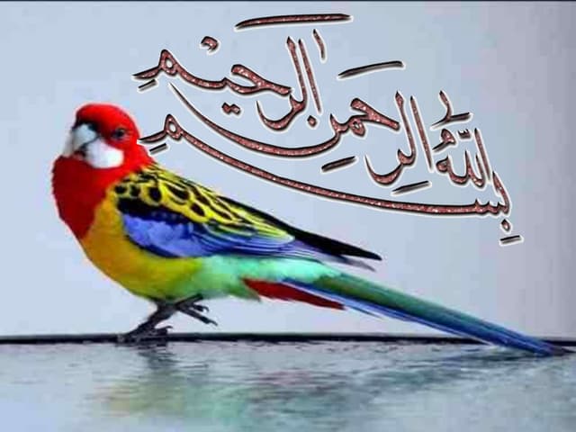 Neurophysiological Facilitation of Respiration (Chest PNF).pdf