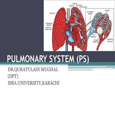 Pulmonary system (PS) examination | PPTX