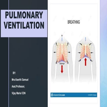 Respiratory #1, Pulmonary Ventilation - Physiology