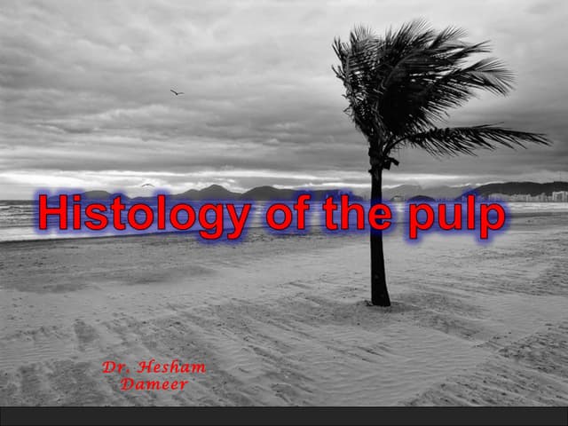 Anatomy of pulp chamber | PPTX