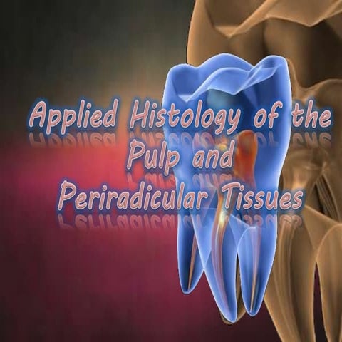 Applied Histology of Pulp and Periradicular Tissues | PPTX