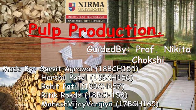 Pulp and Paper | PPT