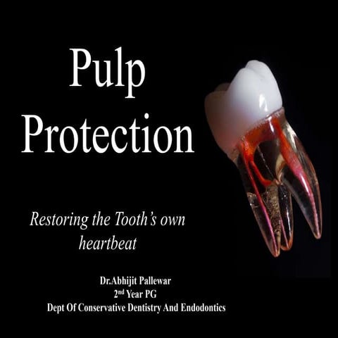 Pulp protection | PPTX