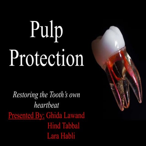 Pulp protection | PPTX