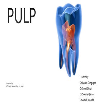 Anatomy of Dental Pulp | PPT