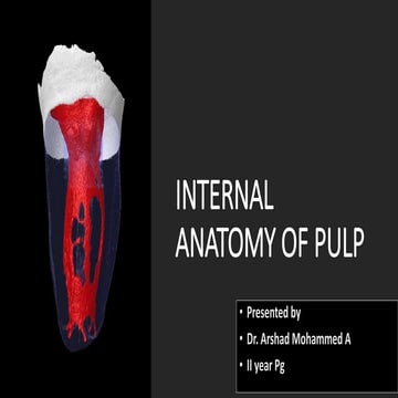 Anatomy of dental pulp.pdf