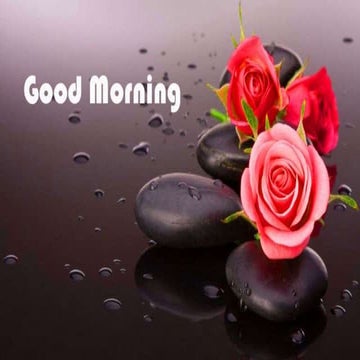 DR SHAKIR Pulp testing | PPTX