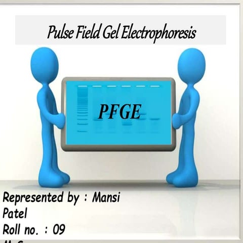 Pulse field gel electrophoresis(PFGE) | PPTX