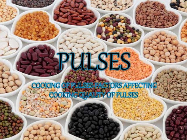 Presentation on pulses | PPTX