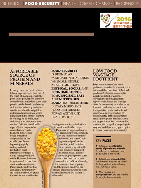 Pulses and nutritional benefits | PDF | Nutrition | Healthy Living