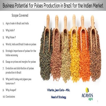 Pulses from brazil | PDF