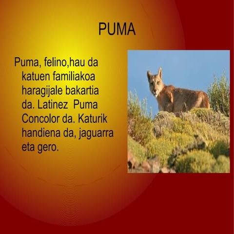 Puma | PPT