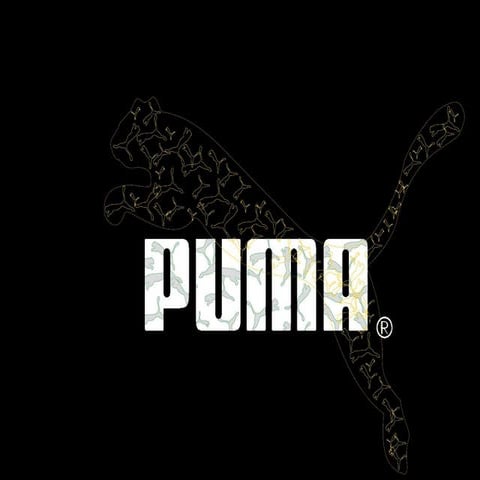 Puma | PPT