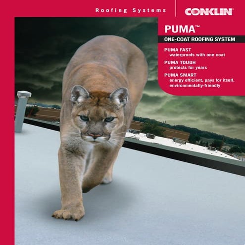 Puma Roof Coating | PDF