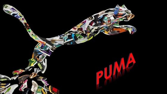 Puma | PPT