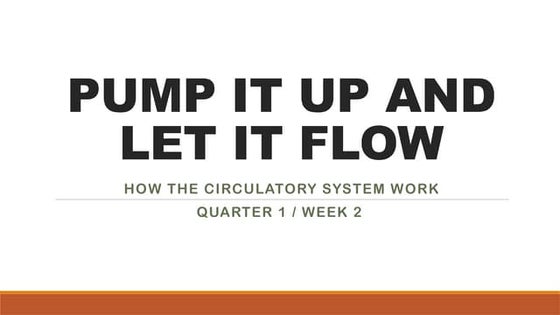 The Circulatory System Worksheet.pdf | Heart and Cardiovascular ...