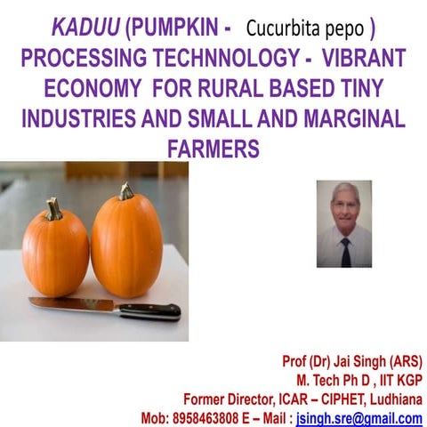 KADUU (PUMPKIN - Cucurbita pepo ) PROCESSING TECHNNOLOGY - VIBRANT ...