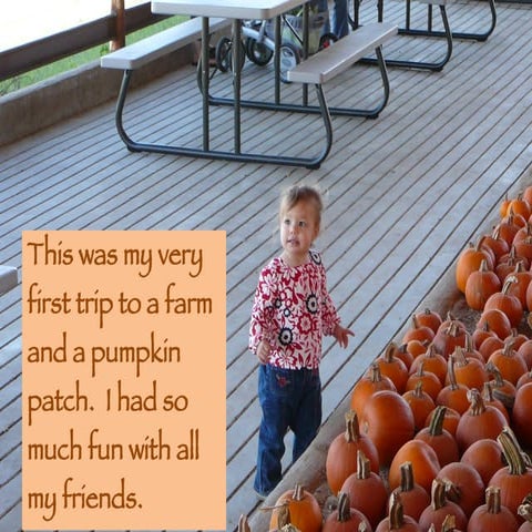 Pumpkin Patch 2008 | PPT
