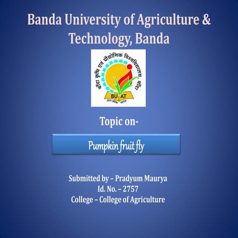 Cucumber fruit fly, pumpkin fruit fly, banana fruit fly | PPTX