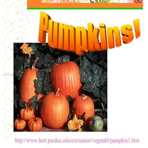 Pumpkins! | PPT