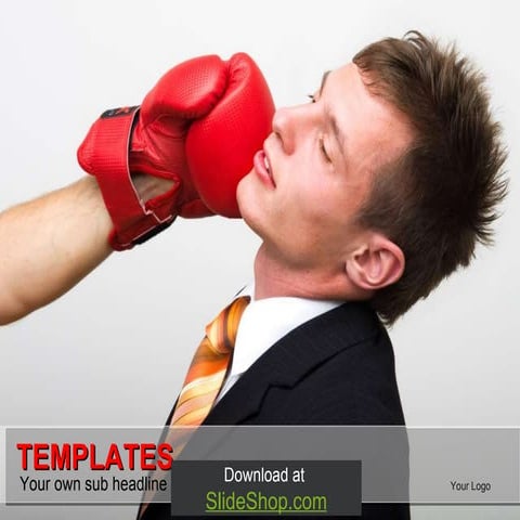 Punch | PPT | Desktop Publishing | Computer Software and Applications