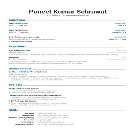 Puneet kumar s_cv_step | PDF