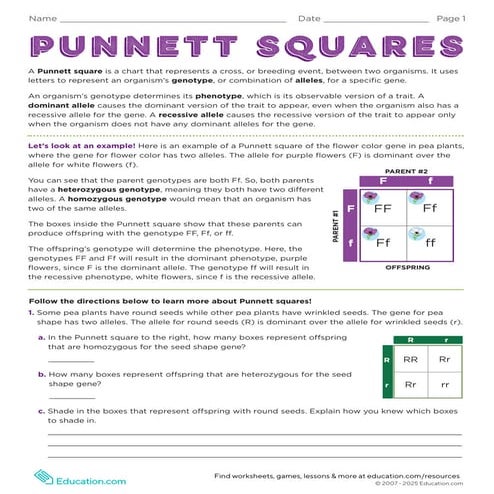 punnett-squares,punnett-squares, punnett-squares, punnett-squares | PDF