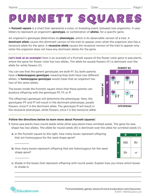 Methods of enzyme isolation and purification | PPT
