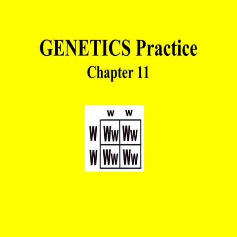 Comprehensive Genetics Practice: Punnett Squares, Inheritance Patterns ...