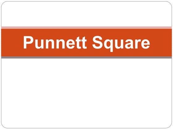 Punnett Squares | PPT