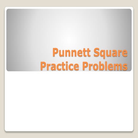 Punnett Square Practice Problems.ppt