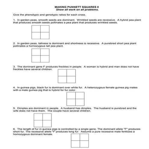 Punnett Squares Ii | DOC