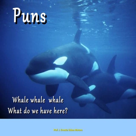 Puns | PPS
