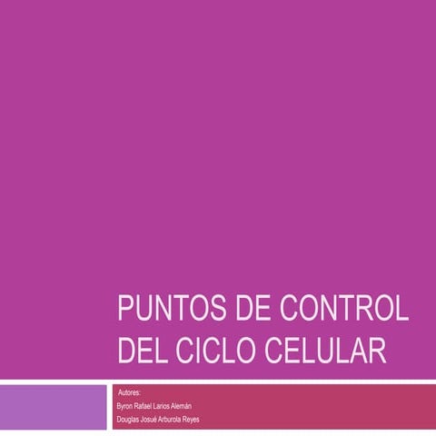 Puntos de control del ciclo celular | PPT