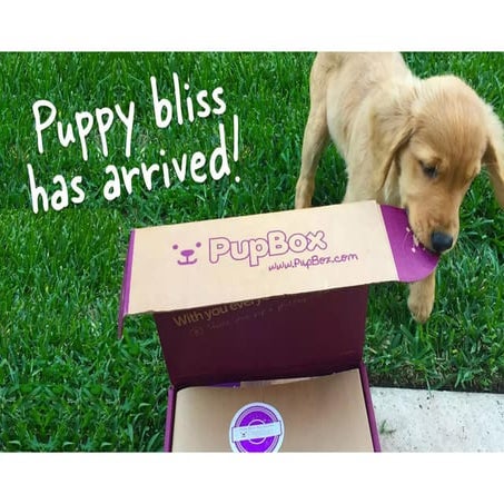 Pupbox | PPT
