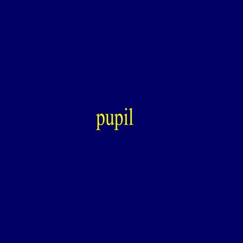 How to Perform a PERRLA Eye Assessment: Step-by-Step Guide for Health ...