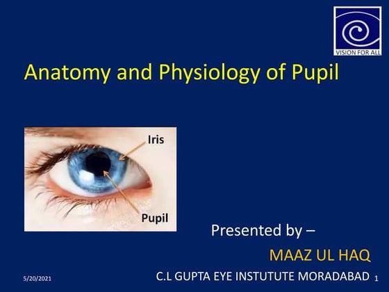anatomy of the eyeball | PPTX | Eye and Vision Conditions | Diseases ...