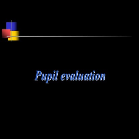 Pupil evaluation.ppt