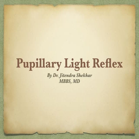 Pupillary light reflex | PDF