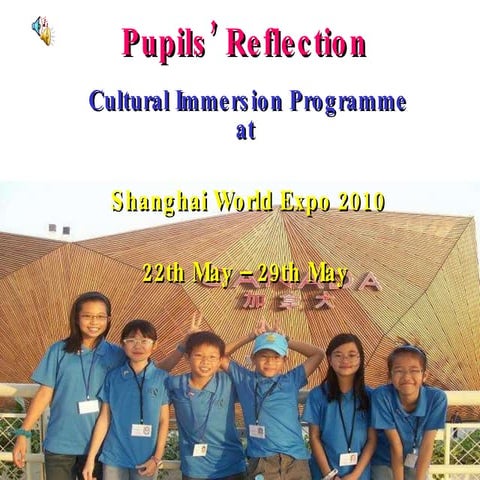 Pupils' reflections | PPT