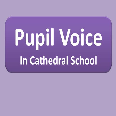 Pupil voice | PPT