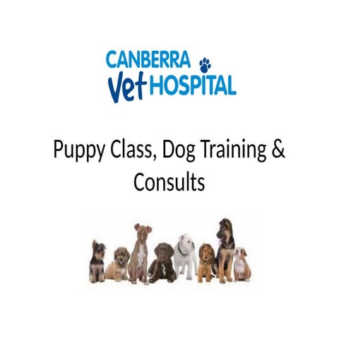 Puppy Class, Dog Training & Consults.pptx