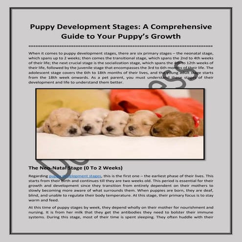 Puppy Development Stages A Comprehensive Guide to Your Puppys Growth.docx | Parenting Babies and ...