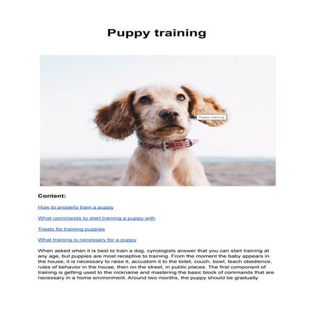5 levels of dog training | DOC