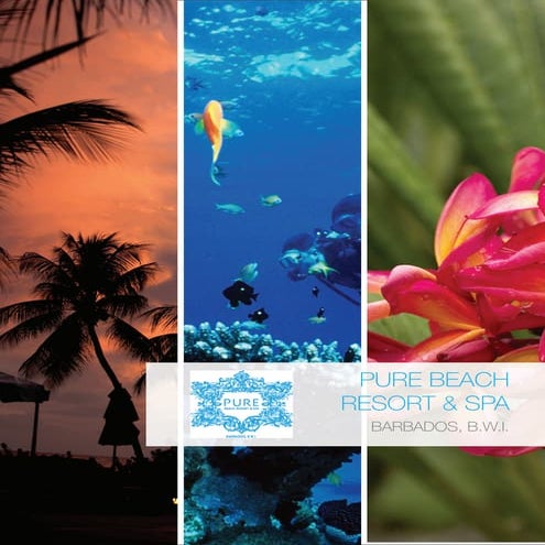 Pure Beach Resort and Spa | PDF