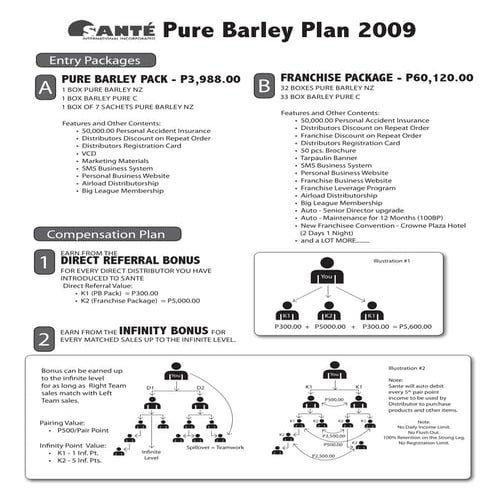 Compensation Plan | PDF