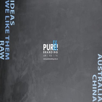 Pure Branding | PDF | Web Development | Internet