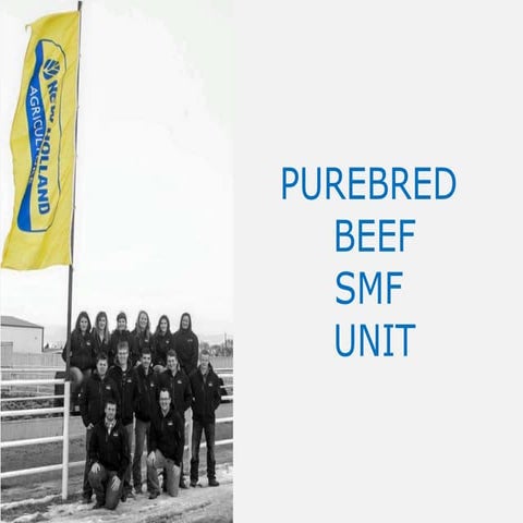 Salesmanship Presentations group 10