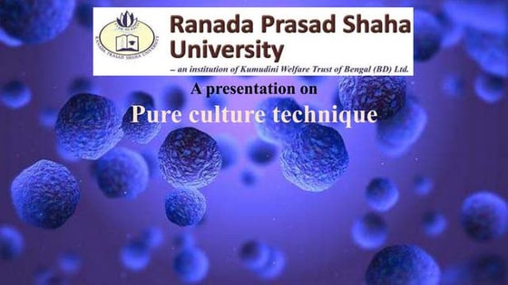 Pure culture techniques | PPTX | Infectious Diseases | Diseases and ...