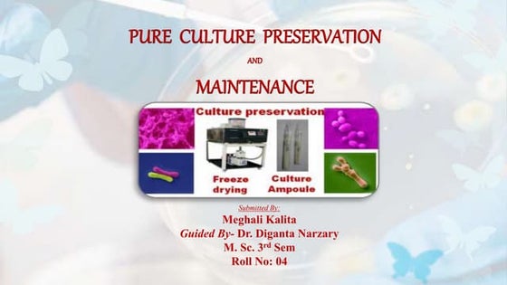 Pure culture techniques | PPT